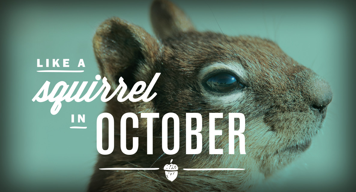 #1 Independent Insurance Brokerage | Holmes Murphy