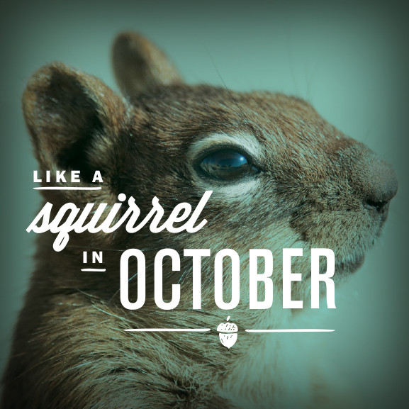 #1 Independent Insurance Brokerage | Holmes Murphy