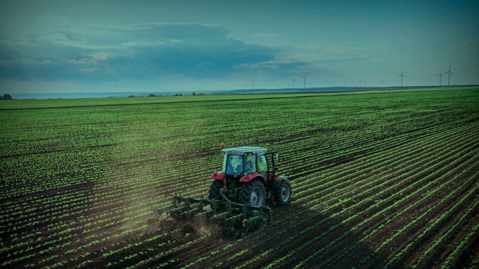 Risk is Risk, but Loss is the Enemy - Holmes Murphy