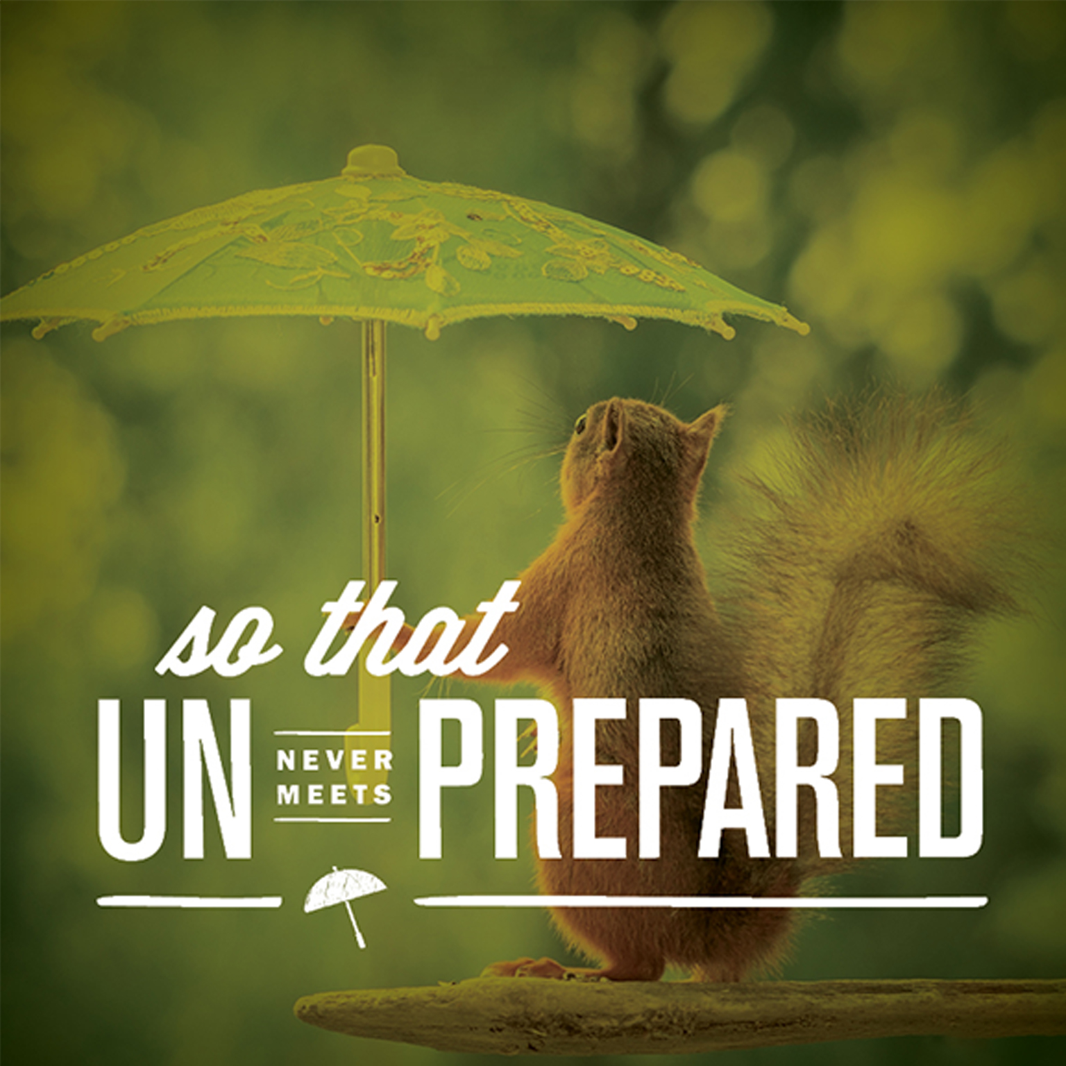 Squirrel Murphy Quotes
